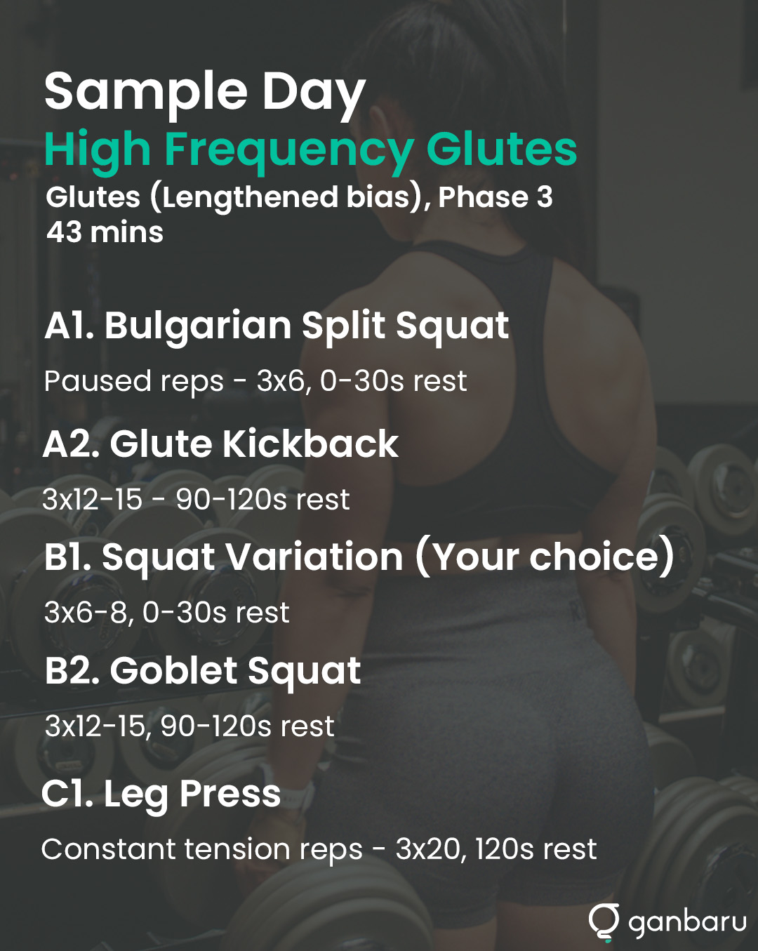 Aesthetic Muscle Building Programs by Eugene Teo - Ganbaru Method