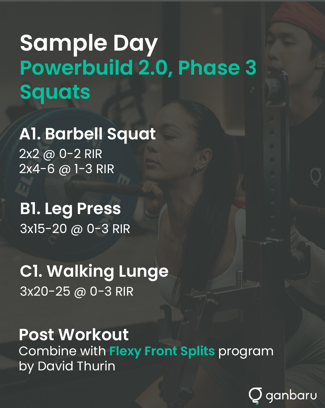 Aesthetic Muscle Building Programs by Eugene Teo - Ganbaru Method