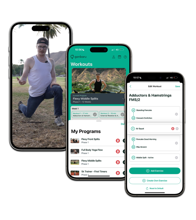 Flexibility Workouts by David Thurin - Ganbaru Method App